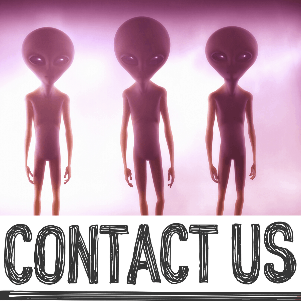 Contact Us. Drop us a line to say hi or ask us questions.