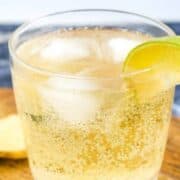 The Best Keto Cocktail Recipes - Easy Low Carb Recipes