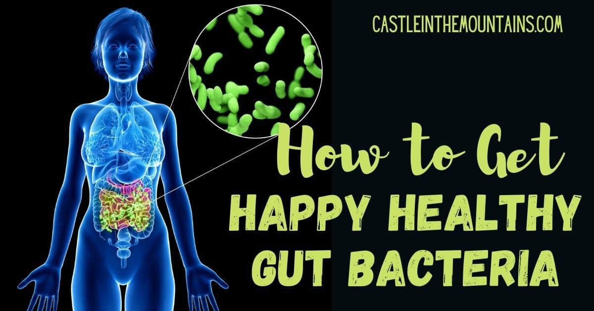 Happy Guts Less bad more Good Gut Bacteria | Castle in the Mountains