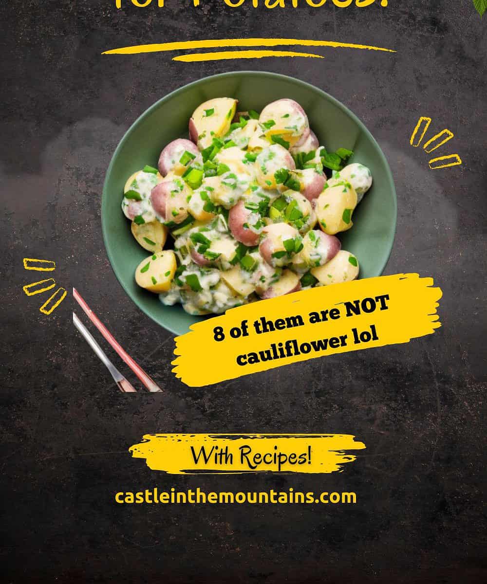 Low Carb and Keto Potato Substitutes- Castle in the Mountains